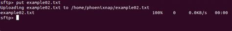How To Use Sftp Commands And Options 6 Use Cases