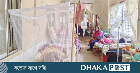 রাজবাড়ীতে বাড়ছে ডেঙ্গু রোগী হাসপাতালে ভর্তি ৪৫