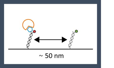 Biochips Dynamic Biosensors