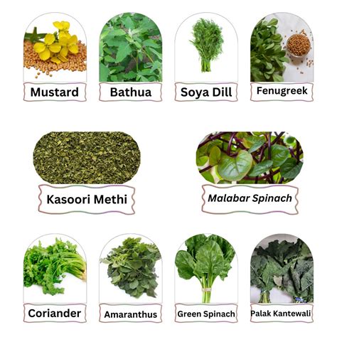 List Of Green Leafy Vegetables