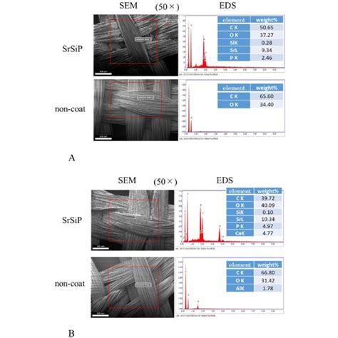 Sem Image And Eds Results A Before Cell Culture B After Cell Culture Download Scientific Diagram