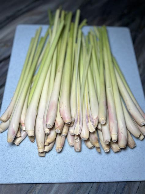 A Zesty Lemongrass Paste Recipe Growing And Cooking With Lemongrass