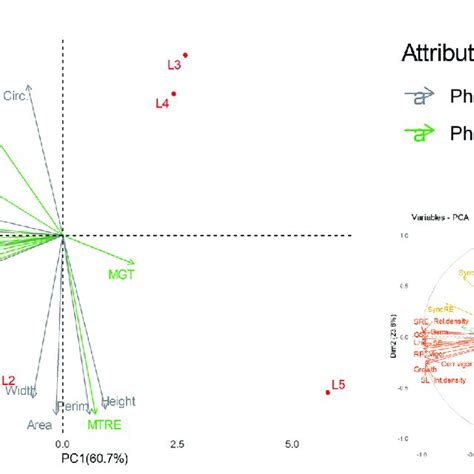 biplot obtained by the linear combination of the variables related to