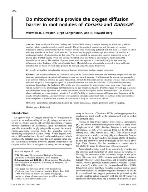 Pdf Do Mitochondria Provide The Oxygen Diffusion Barrier In Root