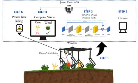 Functioning Of A Real Time Laser Based Weed Detection System Download Scientific Diagram
