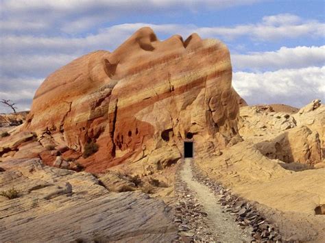 Everything You Need To Know About Scleroderma Information Symptoms And Treatment Options