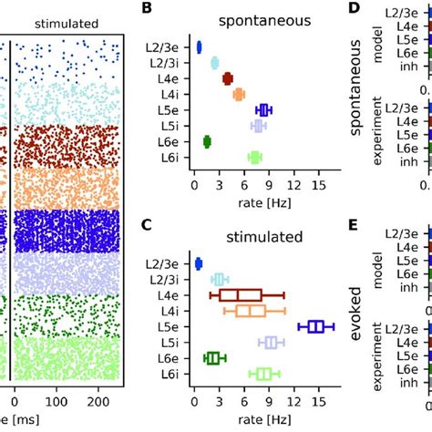 Single Neuron Tuning Curves A Single Neuron Tuning Curves Are Centered Download Scientific