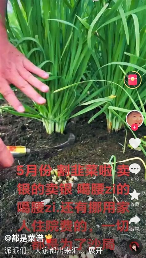 某些极端粉丝的言行,让人想到了当年疯狂追星刘德华的杨丽娟 某些极端粉丝的言行,让人想到了当年疯狂追星刘德华的杨丽娟