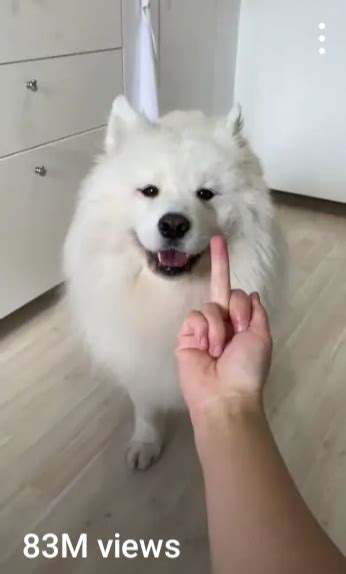 Best Sex Images On Pholder Hentai Gif Genshin Impact Hentai And Celebnsfw