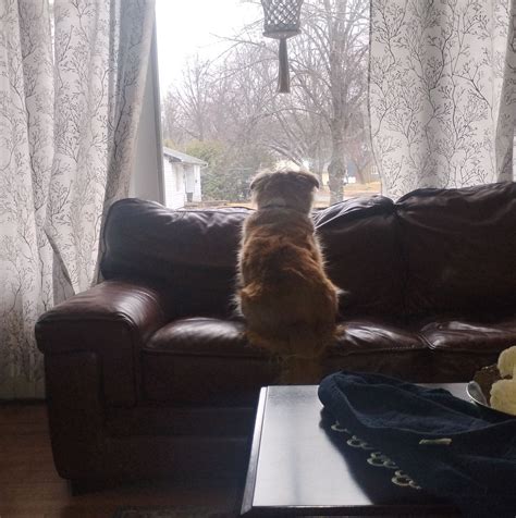 Grumpy Old Gits Whats Something You Cant Stop Quoting Facebook