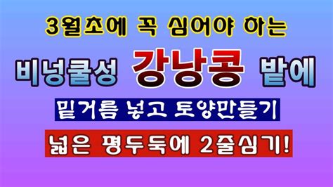 텃밭농부1780 3월초에 심어야 하는 비넝쿨성 강낭콩밭에 밑거름 넣고 토양 만드는 방법 강낭콩재배 Youtube