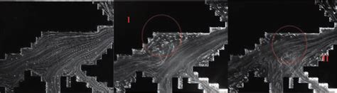 Flow Pattern Visualization And Comparison Between Non Newtonian Polymer