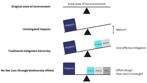 Mitigation Hierarchy The Biodiversity Consultancy