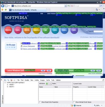 Internet Explorer Developer Toolbar Beta Softpedia