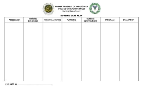 Ncp Template Pdf