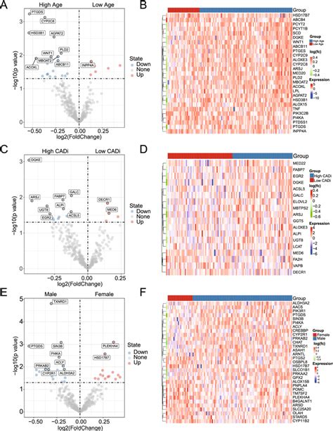 Volcano Plots And Heatmaps Of Differentially Expressed Genes Degs