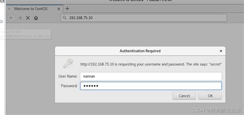 Nginx 服务 服务基础、访问控制nginx访问控制规则 Csdn博客 Nginx 服务 服务基础、访问控制nginx访问控制规则 Csdn博客