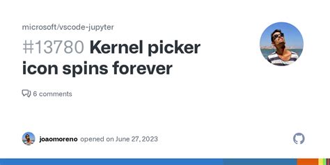 Kernel Picker Icon Spins Forever · Issue 13780 · Microsoftvscode Jupyter · Github