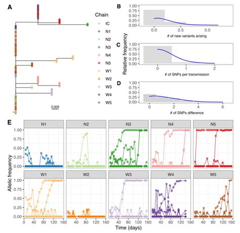 Accumulation Of Diversity Along Transmission Chains A Maximum