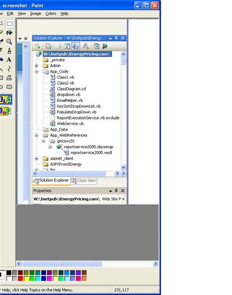 Vs 2008 Integrating Ssrs In Vbnet Application Vbforums
