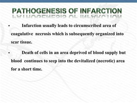 Ischemia And Infarction Pdf