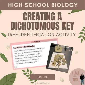 SBI3U Creating A Dichotomous Key Activity By Hello Teach To Serve
