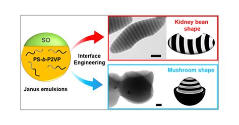 Shape Controlled Anisotropic Block Copolymer Particles Via Interfacial