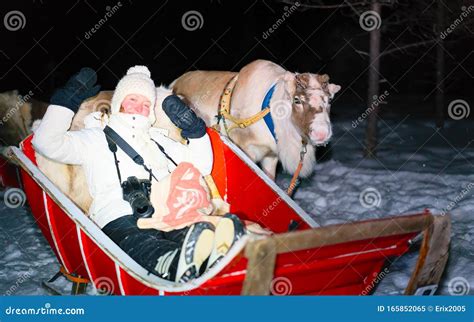 Ragazza Che Cavalca La Slitta Delle Renne Nel Riflesso Notturno Invernale Di Rovaniemi Immagine