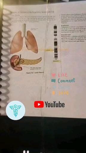 2021 Cpt Appendix A Guide Notes Examples And Bonus Anatomy For Cpc Exam