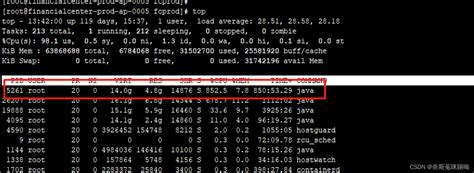 Linux下vmamba 环境复现环境测试