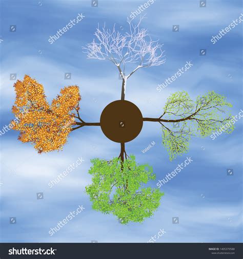 Change Seasons Trees According Seasons Stock Vector Royalty Free