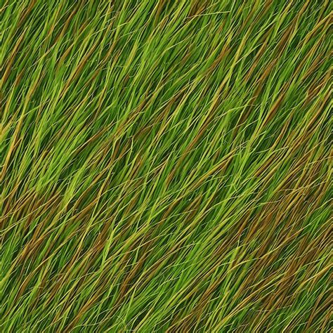 Premium Ai Image Grass Texture Premium Ai Image Grass Texture