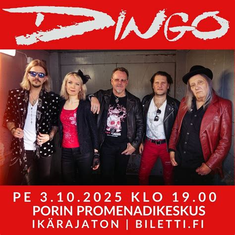 Legendaarinen Dingo Esiintyy Dingo Ja Neumann Official Facebook