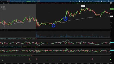 Macd Format Triggers Scan Label Watchlist For Thinkorswim Usethinkscript Community