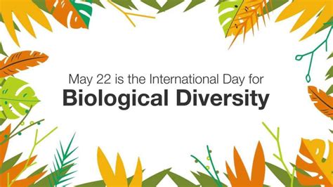 Mainstreaming Biodiversity A Pivotal Step Towards A Sustainable Future