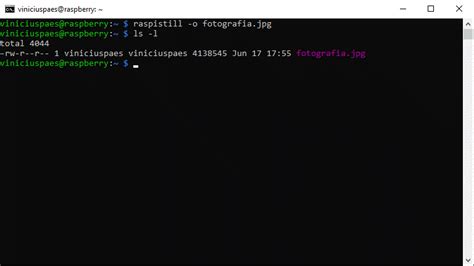 tutorial como criar câmera de time lapse no raspberry pi vinicius paes