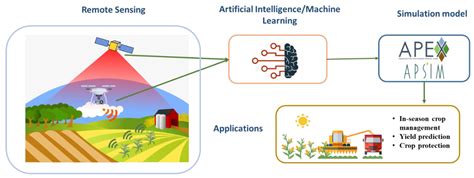 Agronomy Free Full Text Machine Learning Driven Remote Sensing