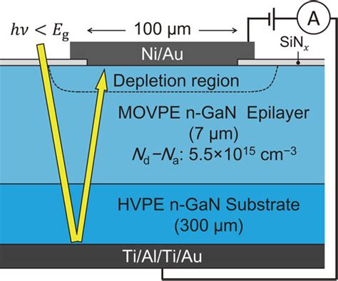 Schematic Cross Section Of The Gan Sbd The Wavelength Of The Incident Download Scientific