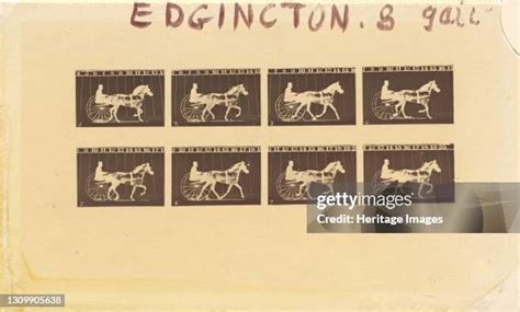 Internegative Photos And Premium High Res Pictures Getty Images