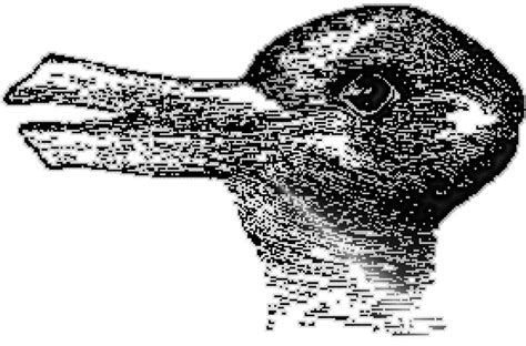 Figure 1 This Perceptually Reversible Figure Was Devised In 1900 By