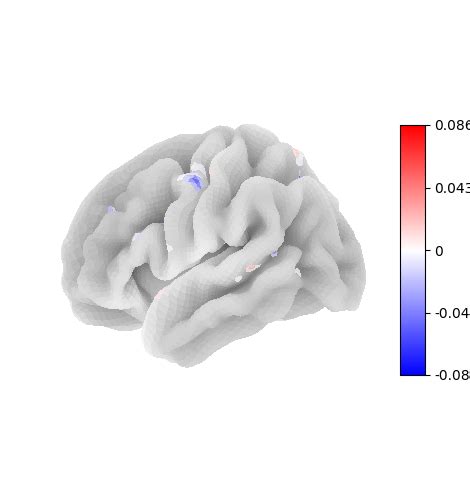 A Short Demo Of The Surface Images Maskers Nilearn