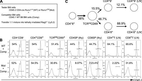 Quantitative Analysis Of Precursor Activity Of Runx1 Deficient