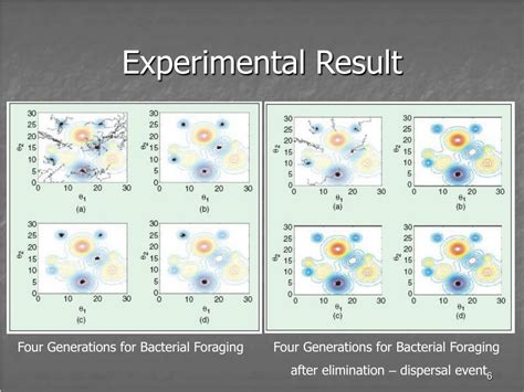 Ppt Bacterial Foraging Powerpoint Presentation Free Download Id1250572