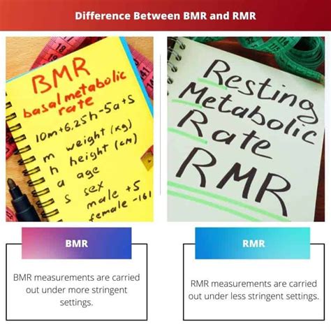 Bmr Vs Rmr Difference And Comparison Bmr Vs Rmr Difference And Comparison