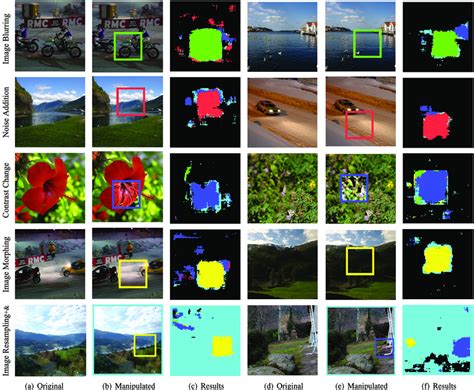 Results Of Localizing The Manipulated Regions Based On Our Mcnet A Download Scientific