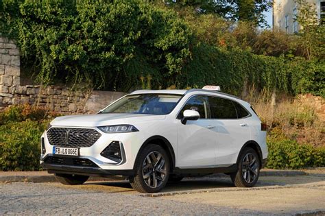 Gwm Wey 03 Zum Fahrschulauto Für 849 Euro