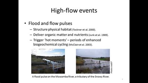 Functional Responses To Environmental Flows YouTube