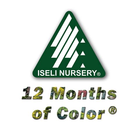 Iseli Nursery About Us