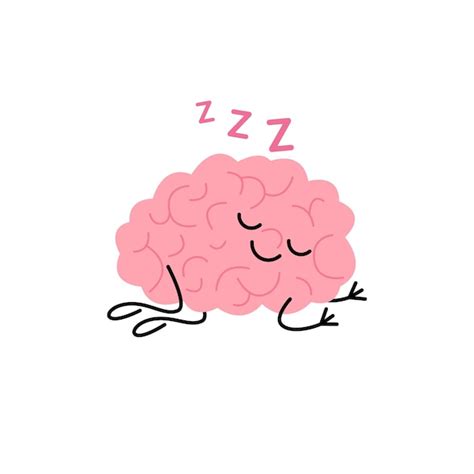 Cerebro Sueño Siesta Descanso Y Recuperación Nocturna Lindo Personaje