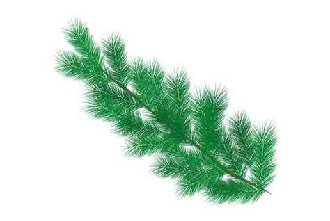 Free Tree Leaves Png Download Free Tree Leaves Png Png Images Free ClipArts On Clipart Library